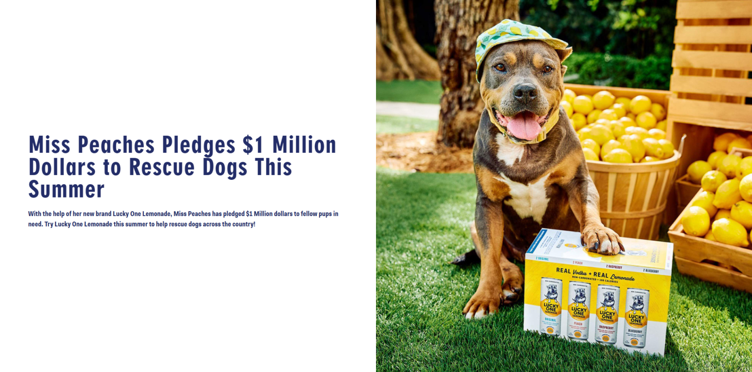 Lucky One Lemonade - Shore Point Distributing Company, Inc.